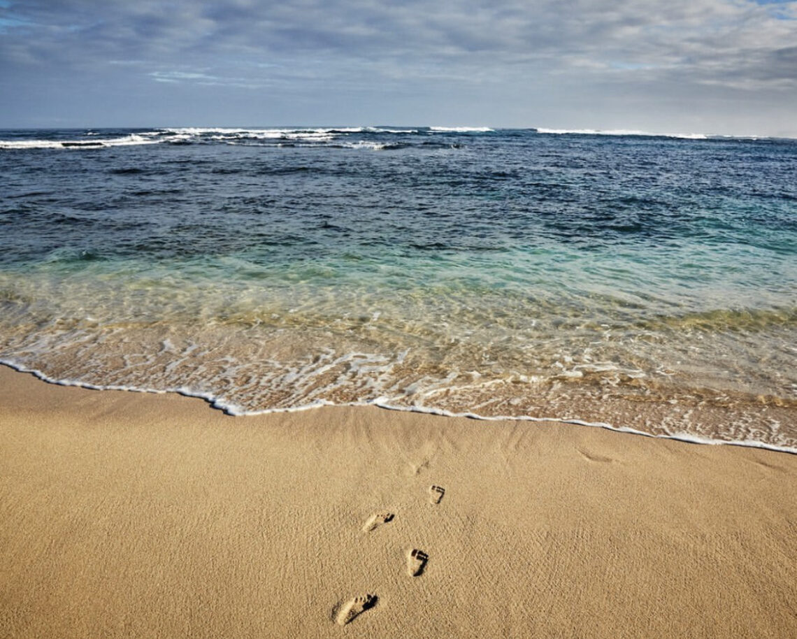 Commercial Photography Illustration Design Production | RR&Co